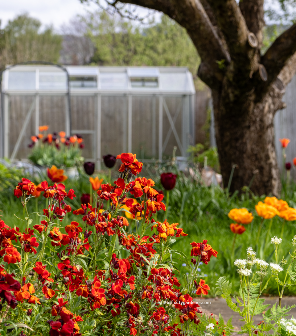 'Reading' While Gardening - The Chatty Gardener