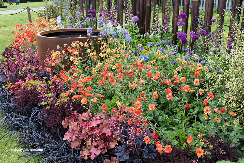 Highlights of RHS Malvern Spring 2026 - The Chatty Gardener